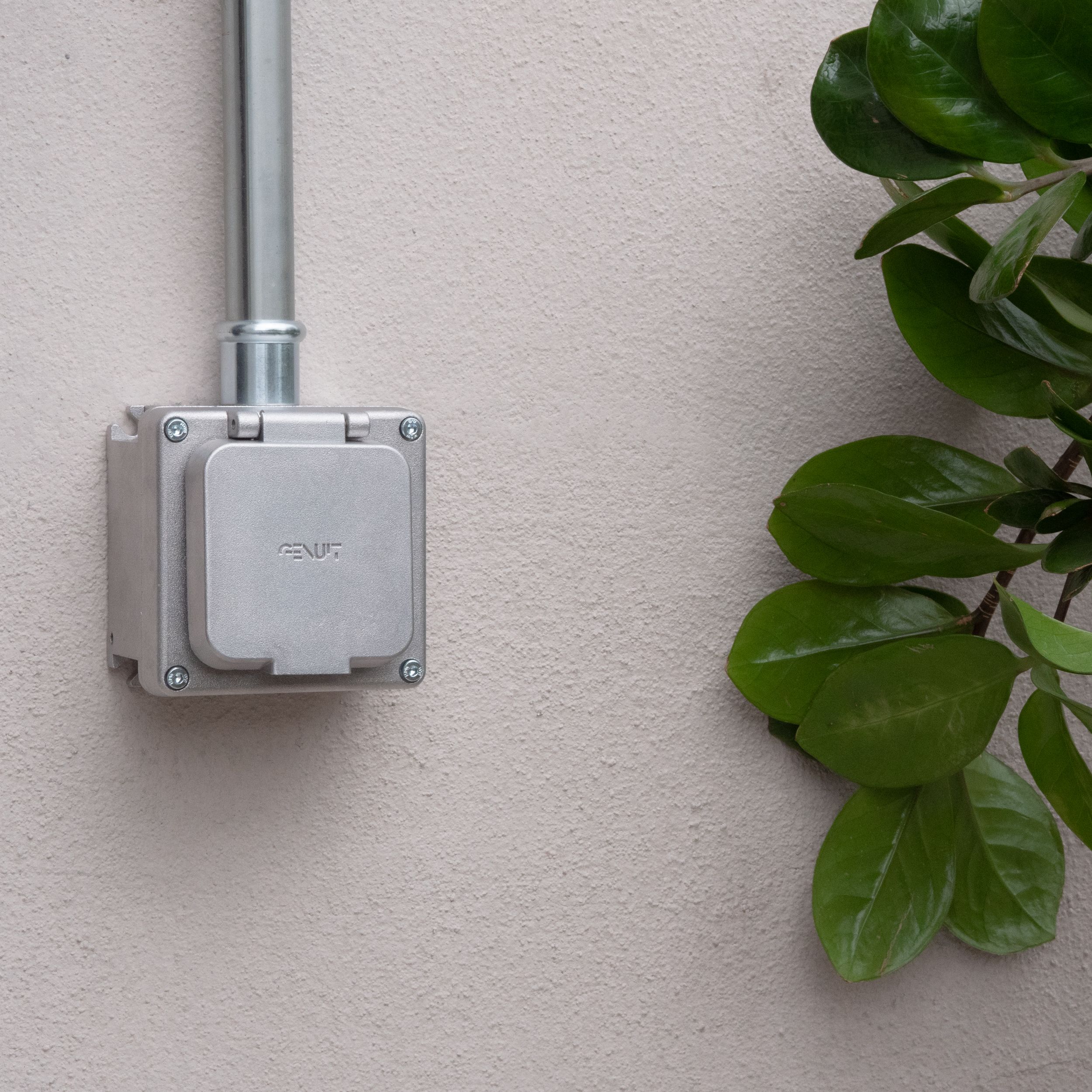 Box 2 IP55: switch box for exposed electrical systems